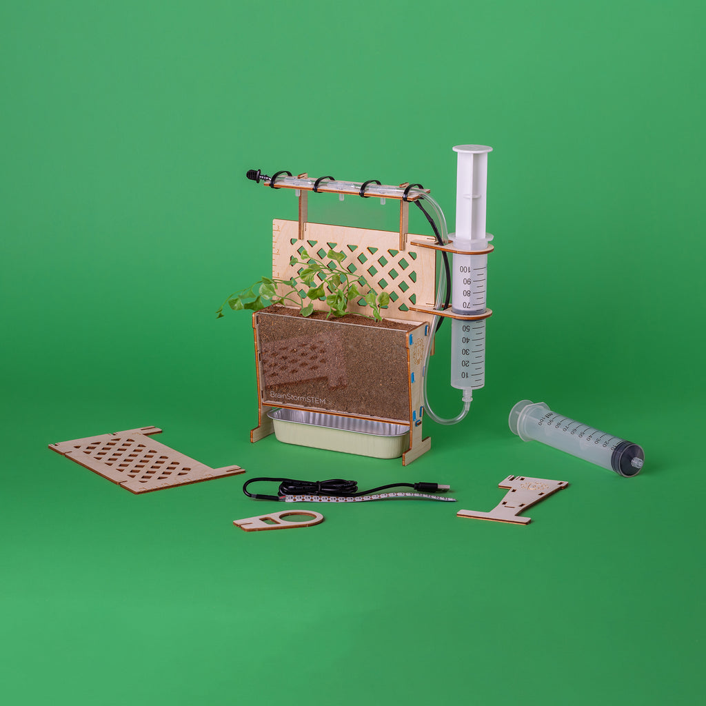 Seed Science Starter Kit For Kids + Wooden Planter Garden Build Kit