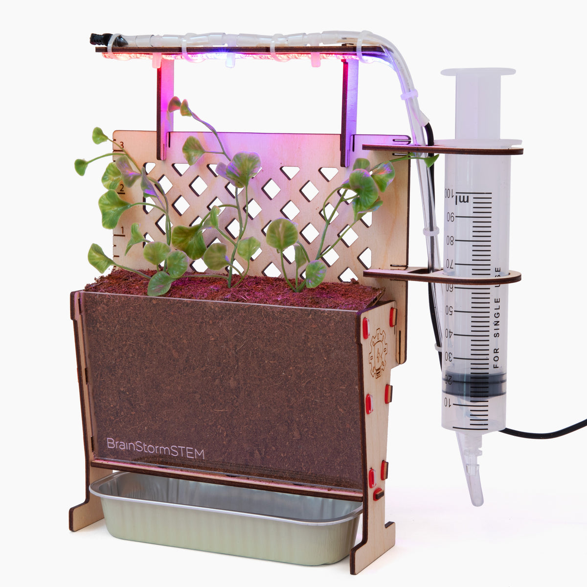 Seed Science Starter Kit For Kids + Wooden Planter Garden Build Kit