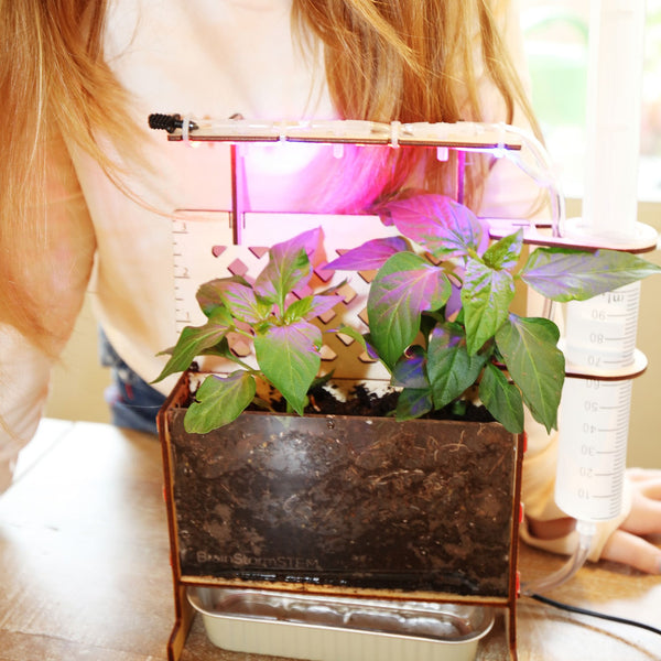 Seed Science Starter Kit For Kids + Wooden Planter Garden Build Kit