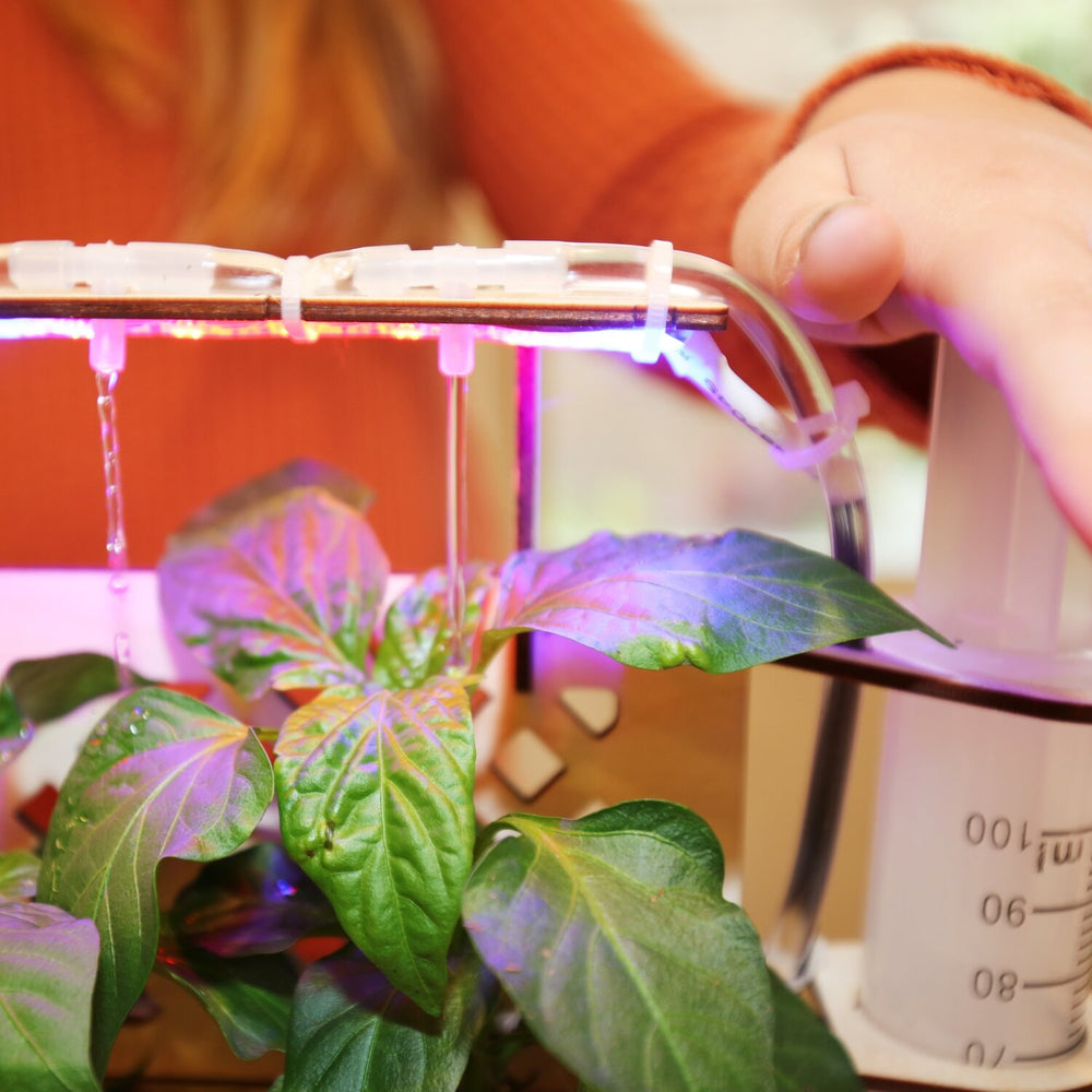 Seed Science Starter Kit For Kids + Wooden Planter Garden Build Kit