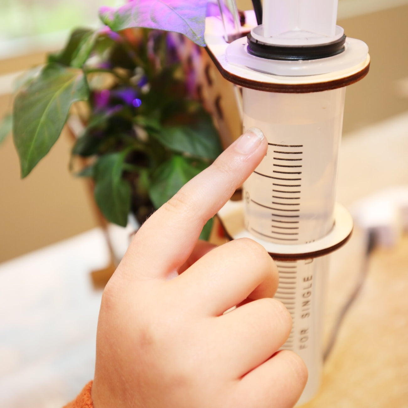 Seed Science Starter Kit For Kids + Wooden Planter Garden Build Kit