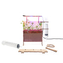 Seed Science Starter Kit For Kids + Wooden Planter Garden Build Kit